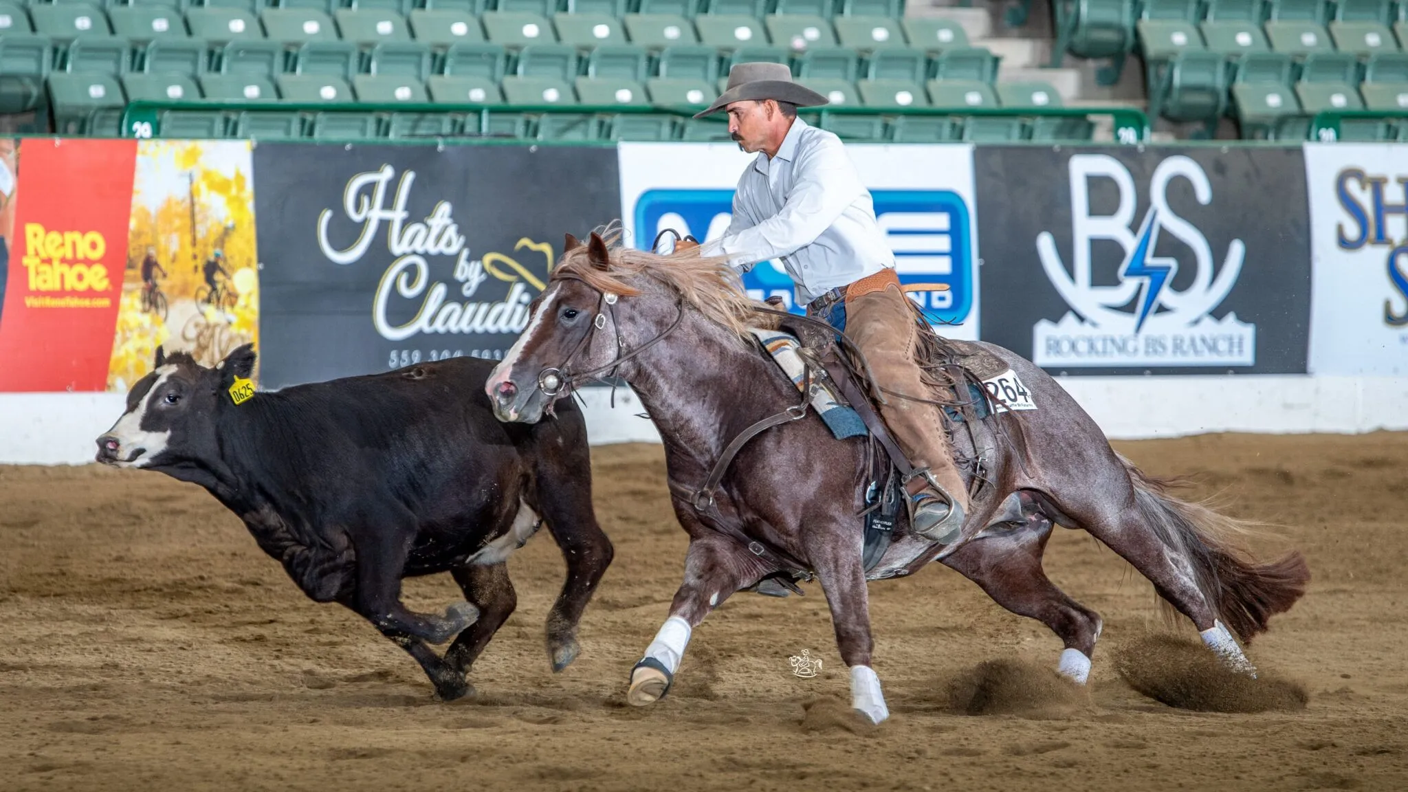 National Day of the Horse: Horses in the Headlines 2025