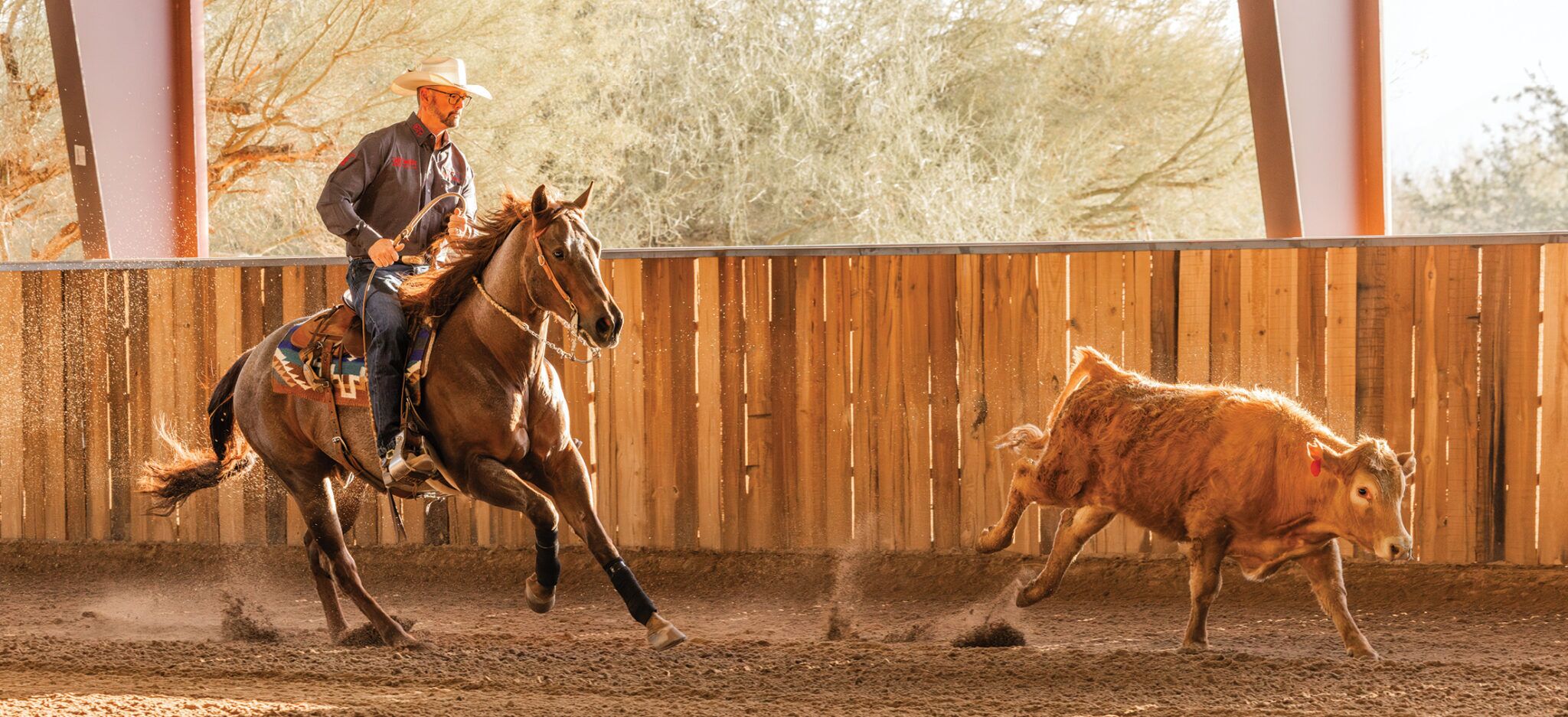 Build Confidence in NRCHA's New Box-Drive Class - Horse and Rider