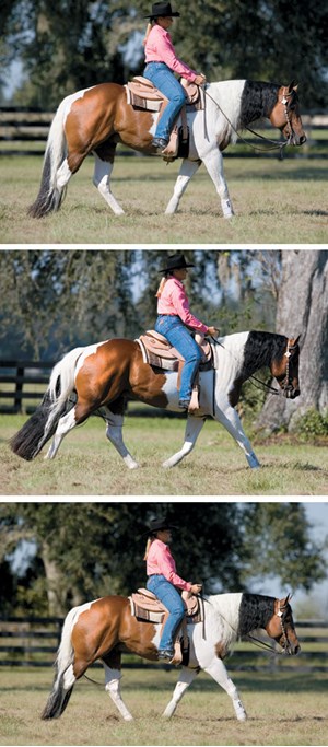 4 Reasons to Try Western Dressage