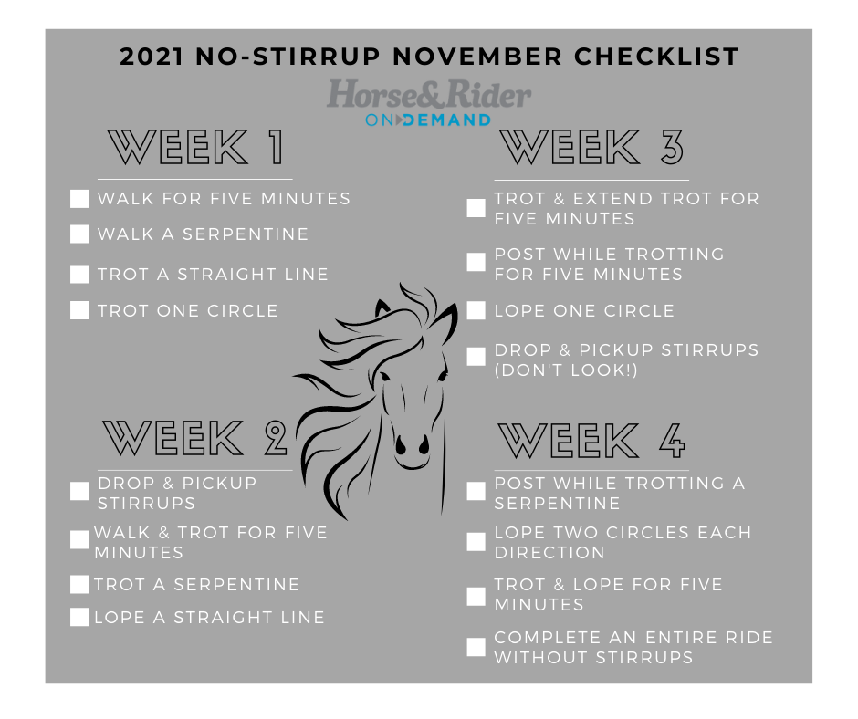 2021 No-Stirrup November Challenge