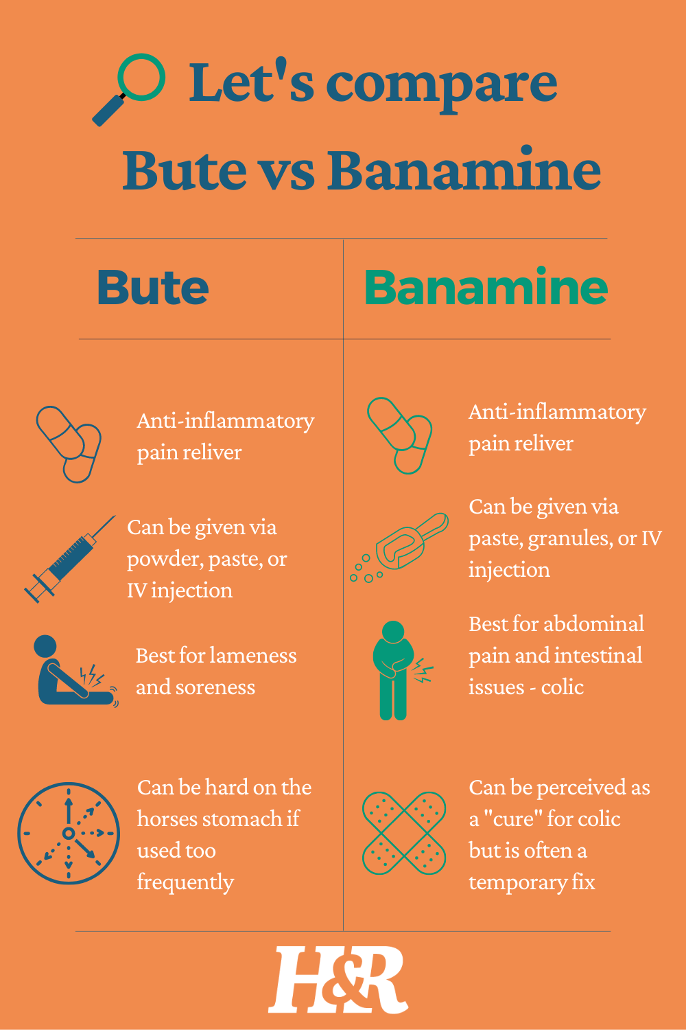 Bute vs Banamine – what's the difference?
