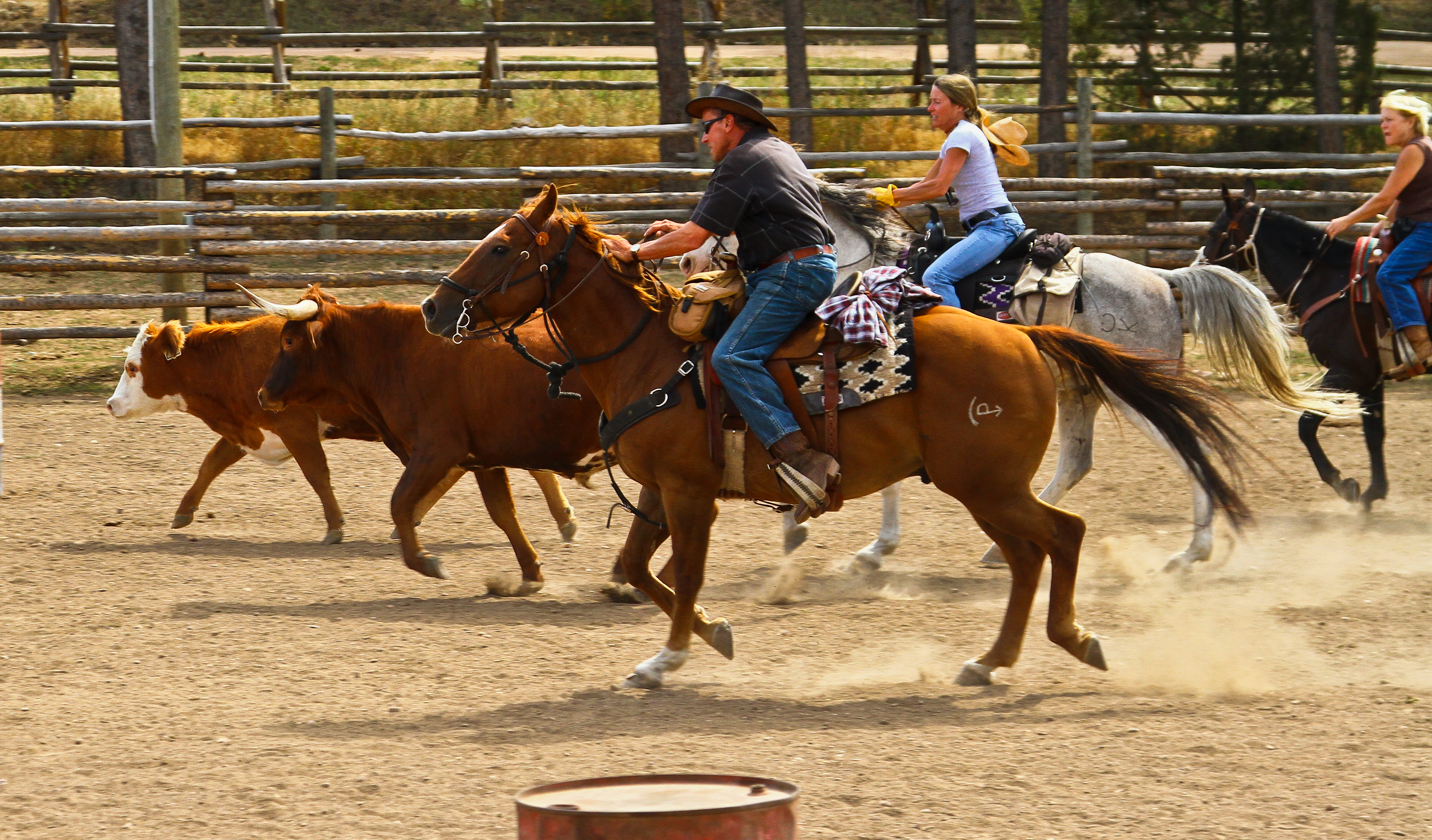 Guest Ranches for Experienced Horseback Riders