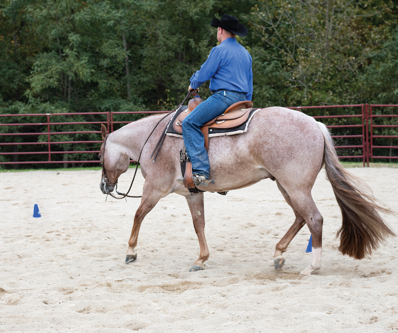 Mix Up Your Winter Riding Routine