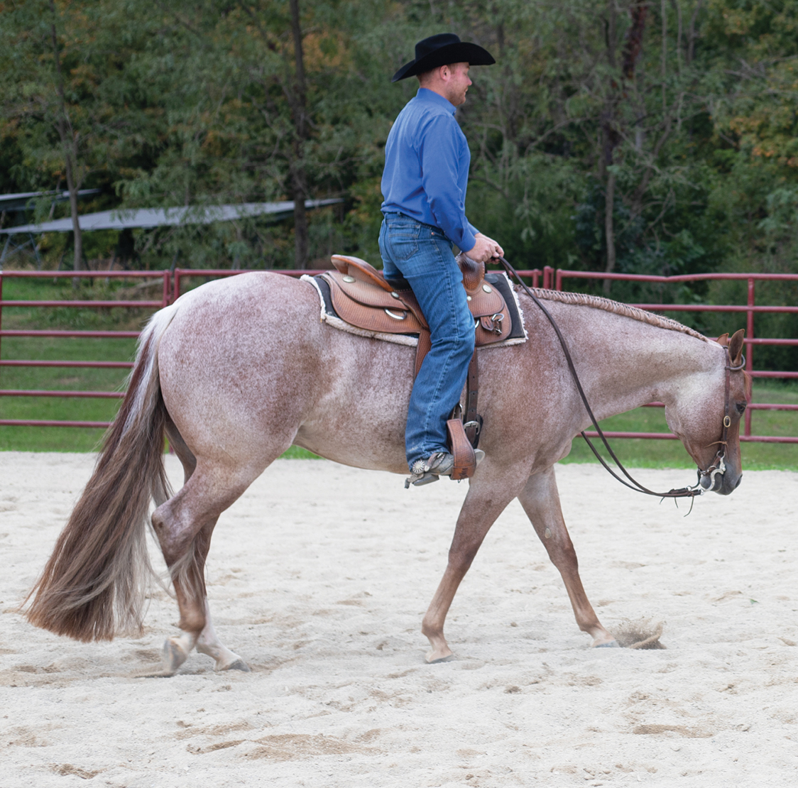 Mix Up Your Winter Riding Routine