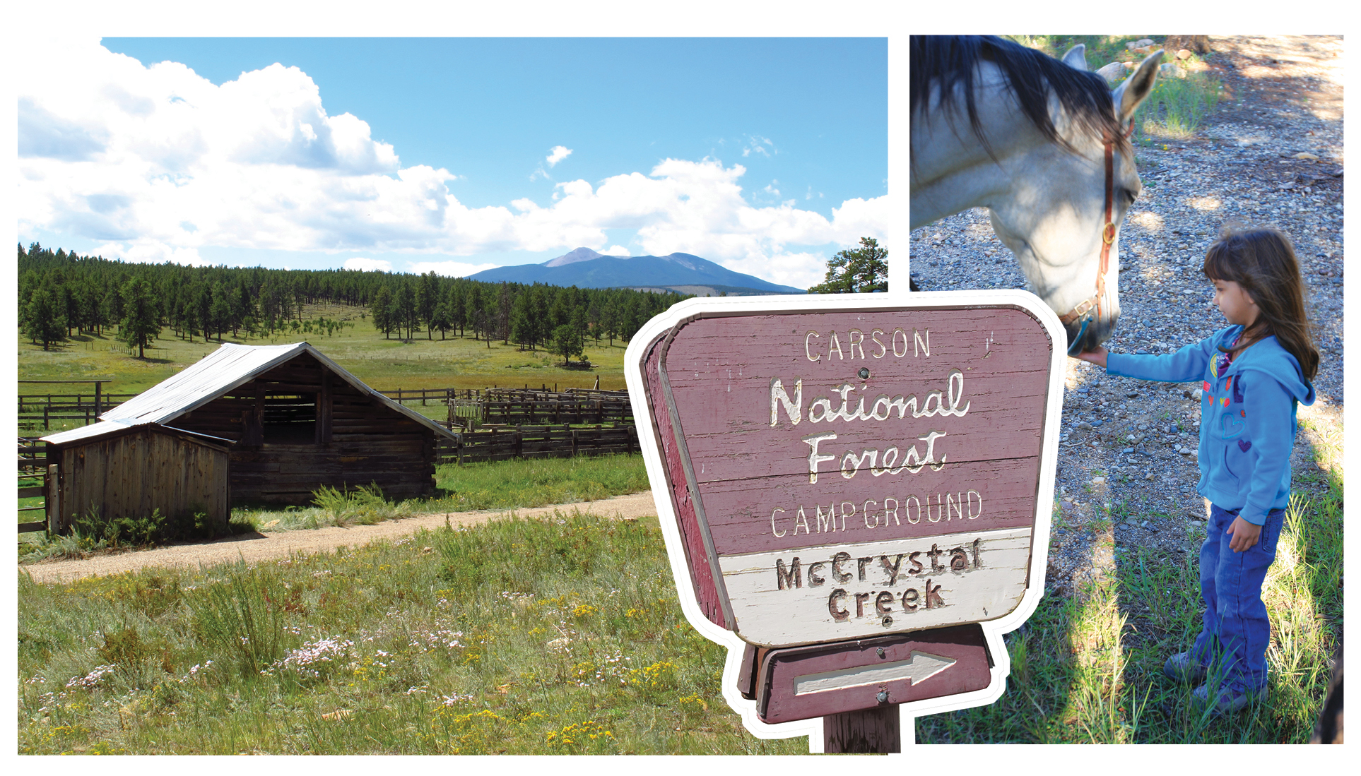 McCrystal Creek Country: The Land of Enchantment