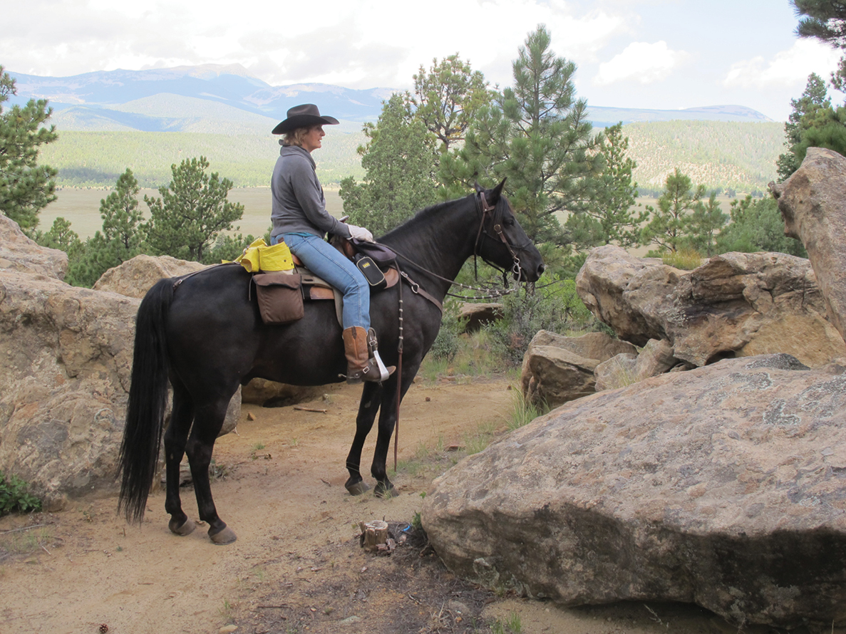 McCrystal Creek Country: The Land of Enchantment