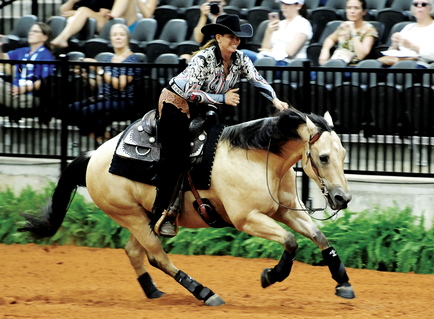 Keep Your Senior Performance Horse at His Best