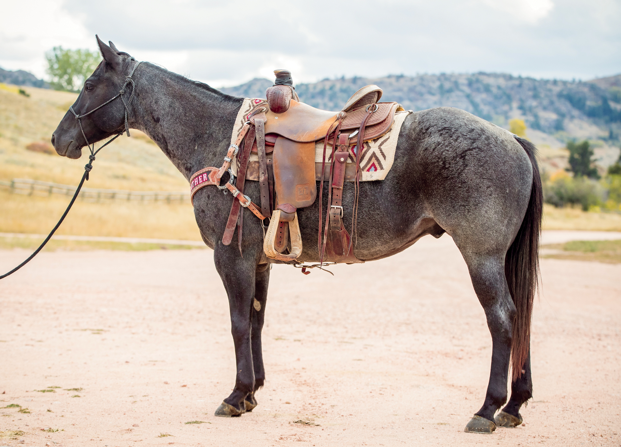 Trail-Sound for Horseback Trail Riding