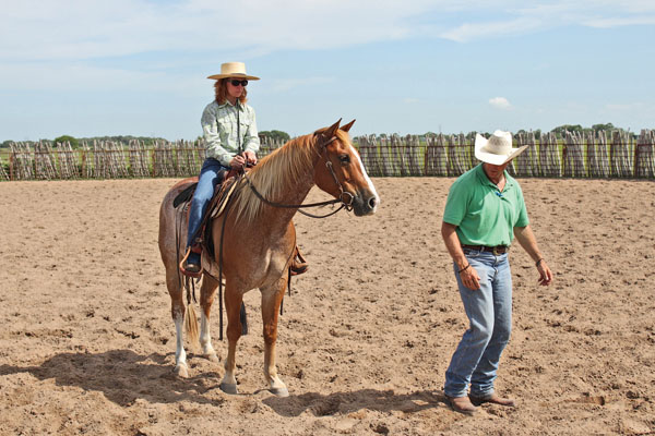 Slow Down and Focus on Your Horse