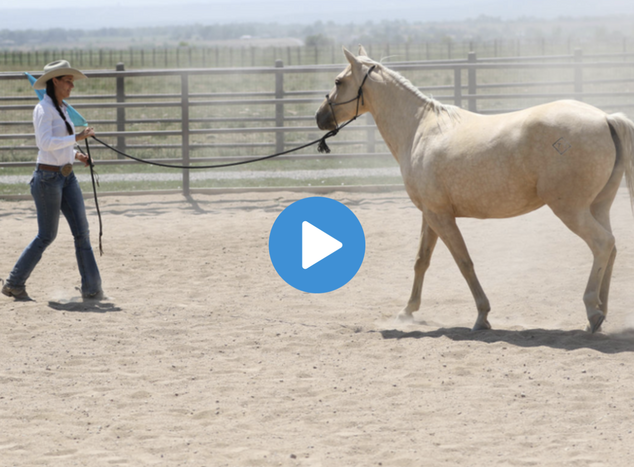 Tips to Make Longeing More Effective