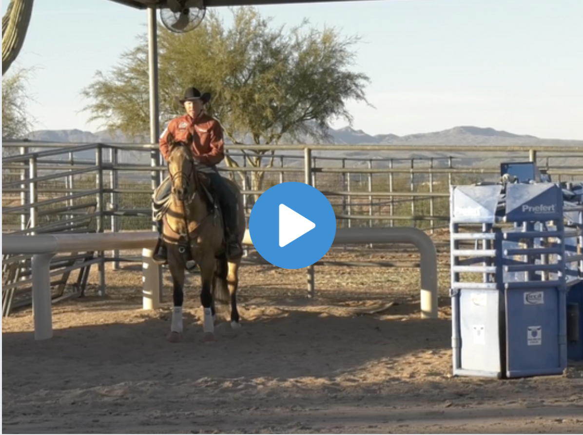 Roping Box Work: Opening Chute