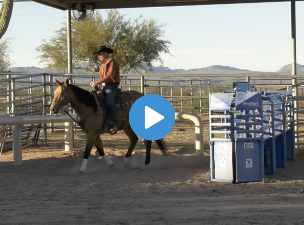 Roping Box Work: Stand in Different Spots