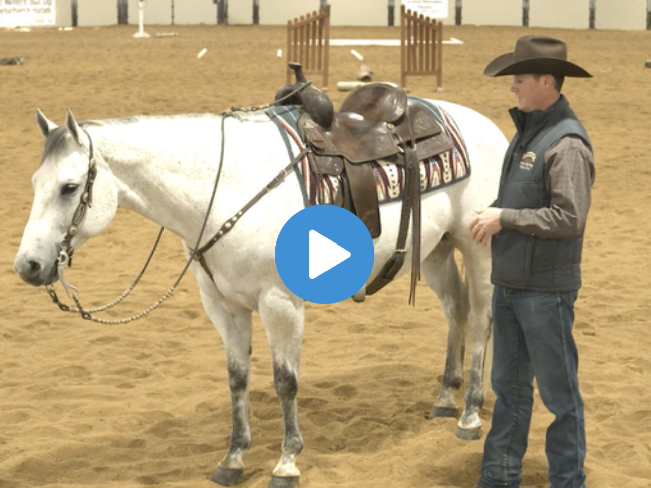 Versatility Ranch Horse Prospect