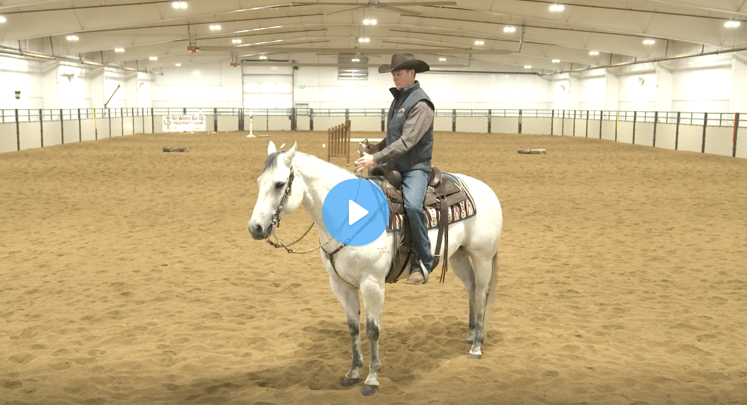 Versatility Ranch Horse Riding Fundamentals