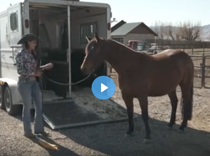 Loading Your Horse on the Trailer by Yourself