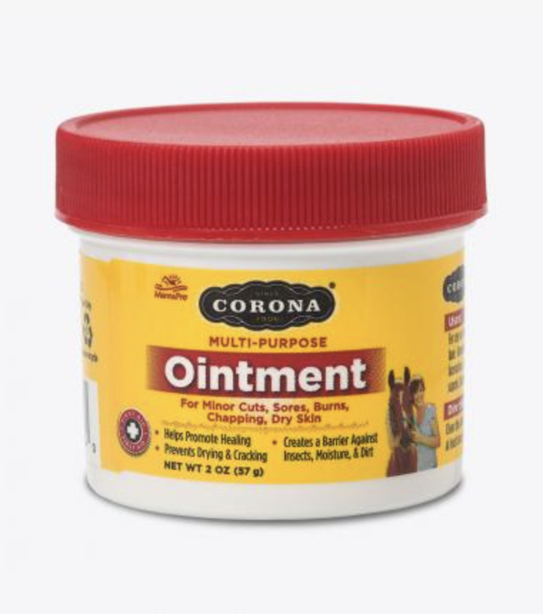 3 Things You Must Do for a Healthy Tail