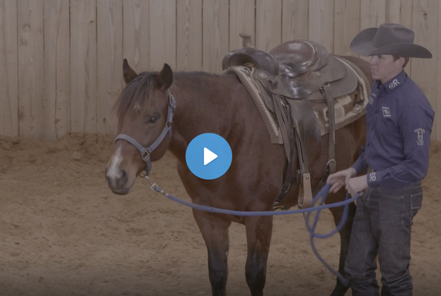 Colt Starting: Using Spurs
