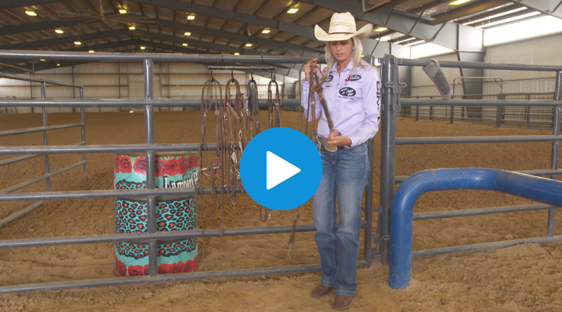 Shali Lord's Favorite Bits