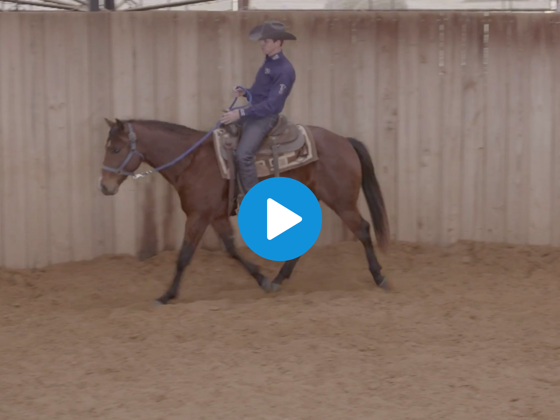 Colt Starting: Moving Forward