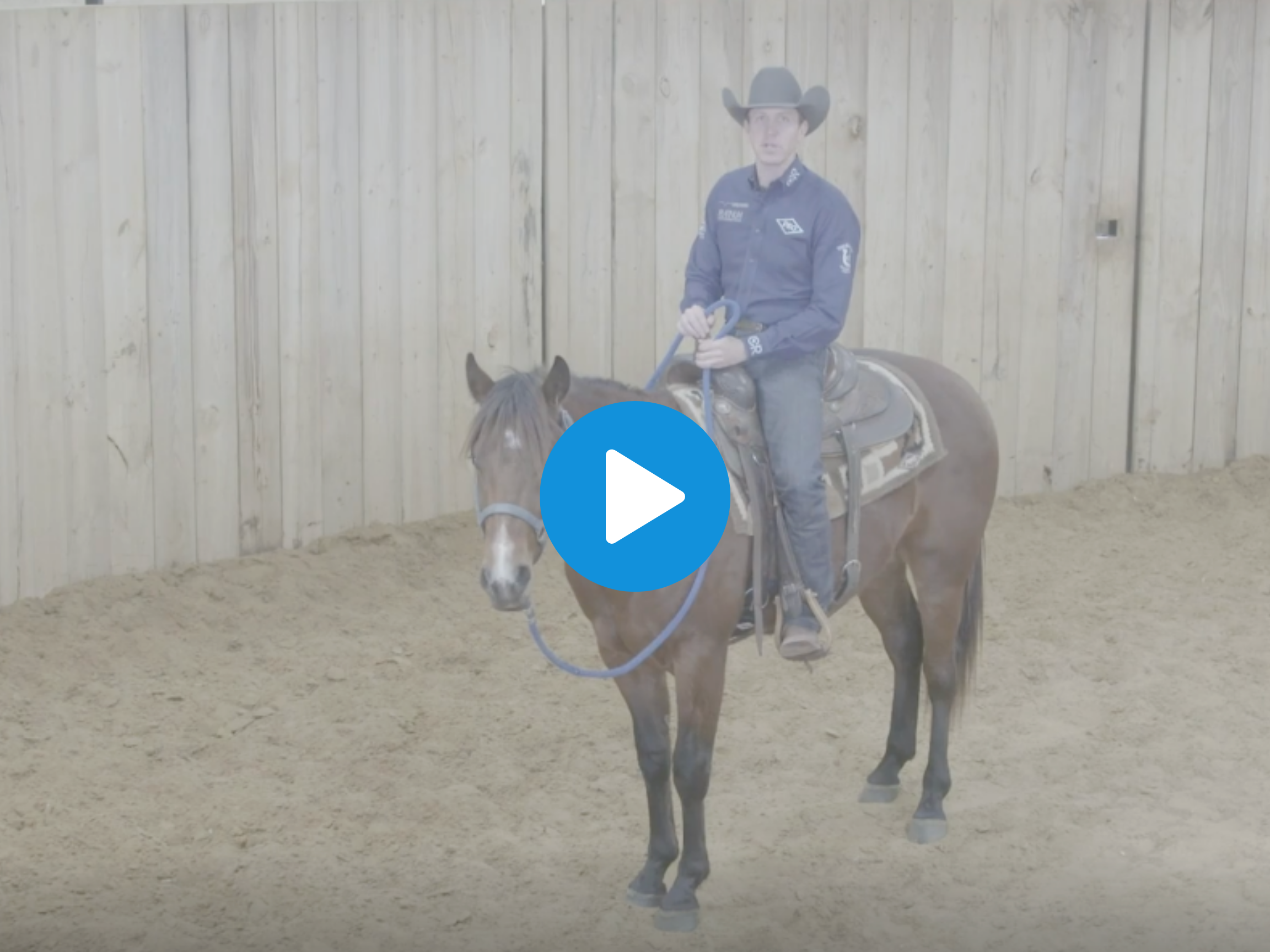 Colt Starting: Loping