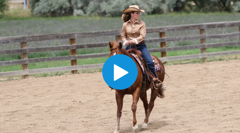 Introduction to Ranch Riding: Working the Extended Lope