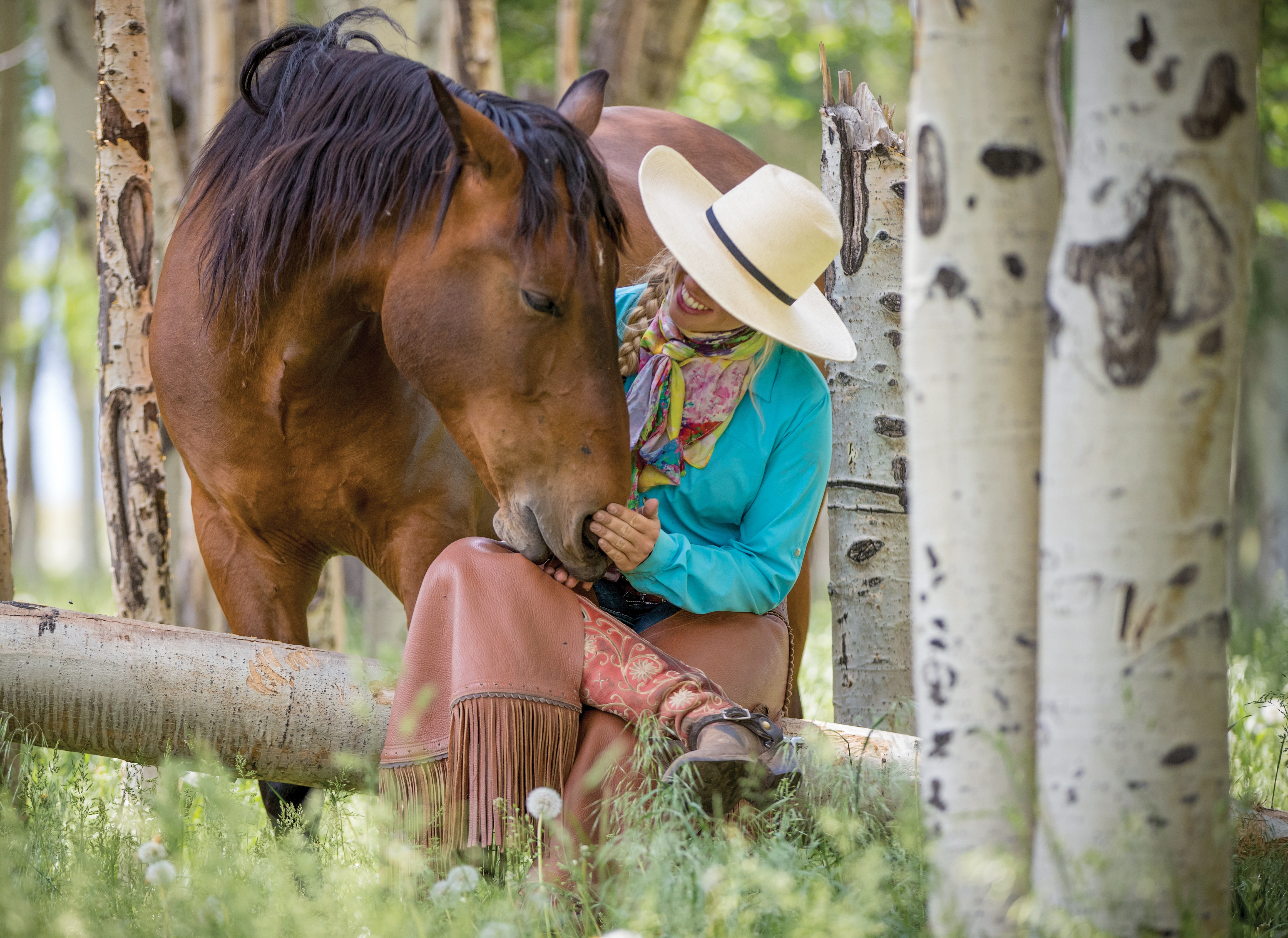 Running Wild: Mustang Maddy